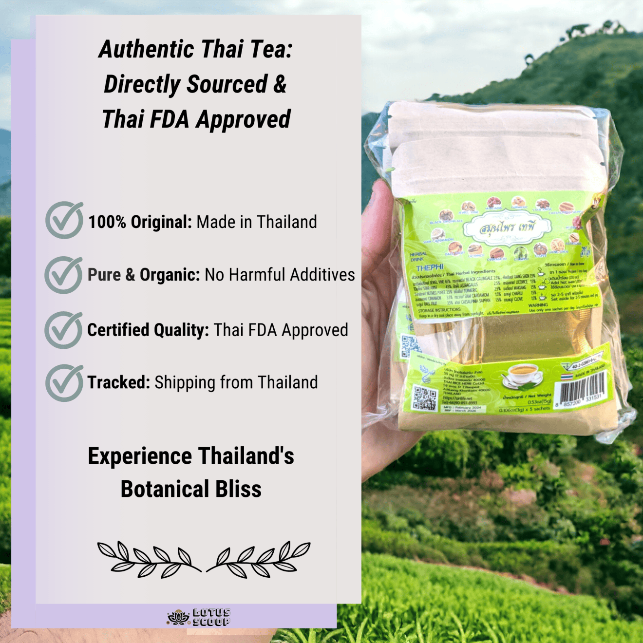 Tapee Tea – Organic Thai Herbal Tea Blend | Free Shipping